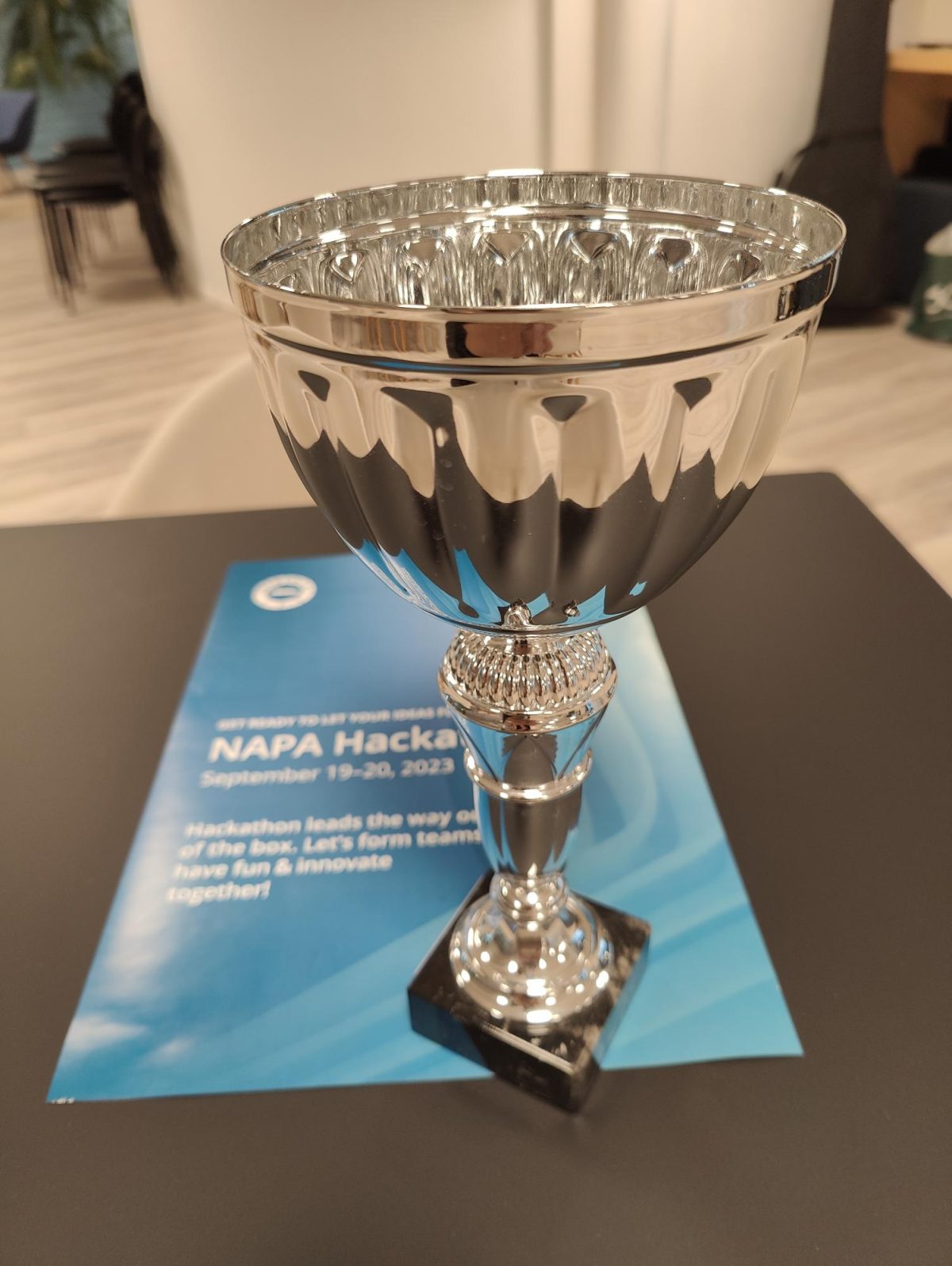 Innovation leads the way at the 10th NAPA Hackathon - NAPA