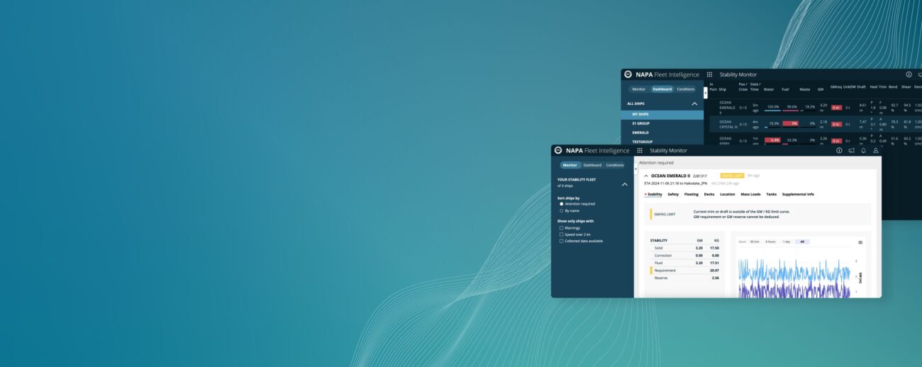 Stability Monitor NAPA
